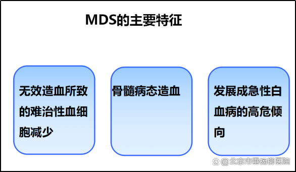 别把白细胞减少不当回事之：骨髓增生异常综合征（MDS）