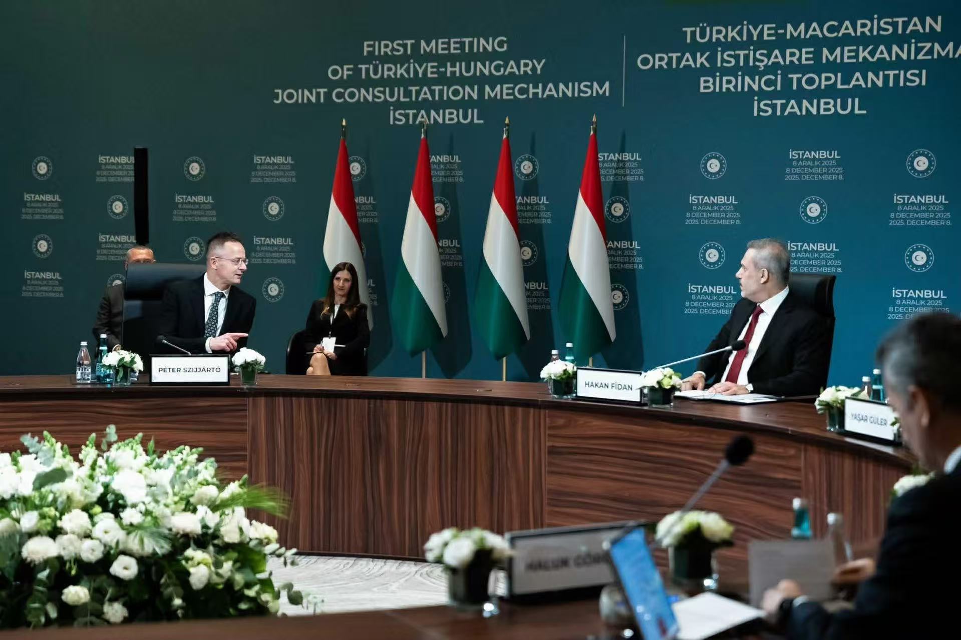 匈牙利和土耳其反对将能源问题政治化