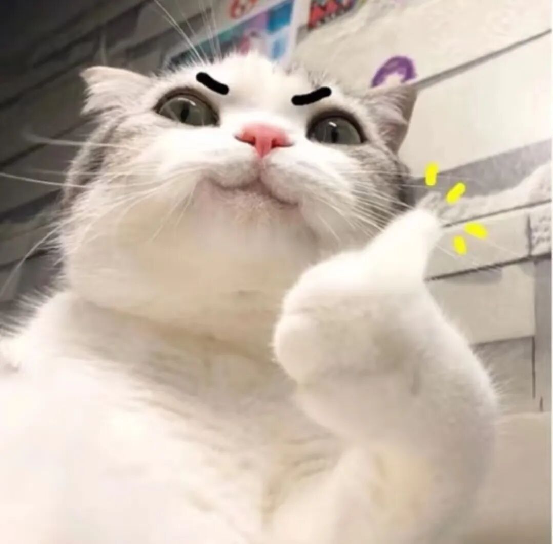 大量表情包来袭！观澜君的2025年