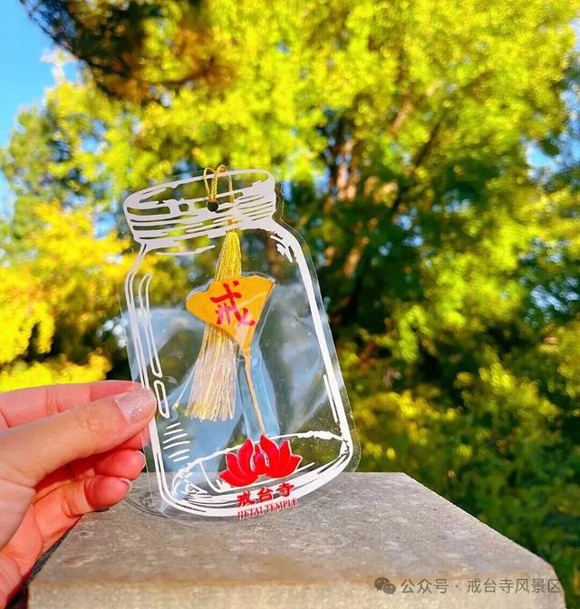 金色瀑布！北京这些千年古银杏正在最佳观赏期！